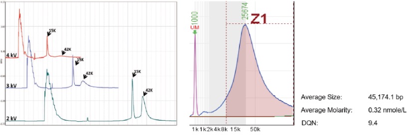 艾吉泰康 | 创新型基因行业引擎