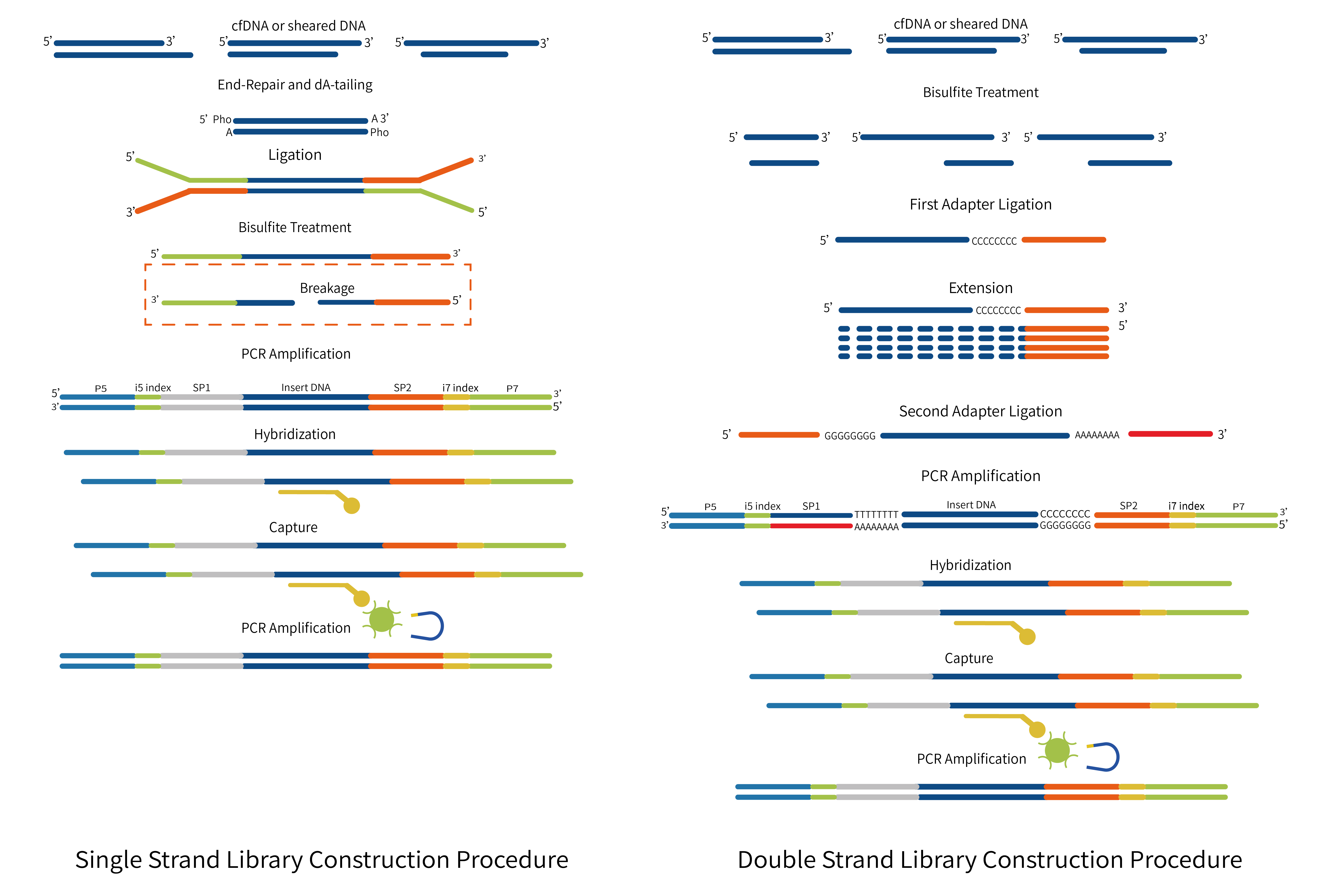艾吉泰康 | 创新型基因行业引擎