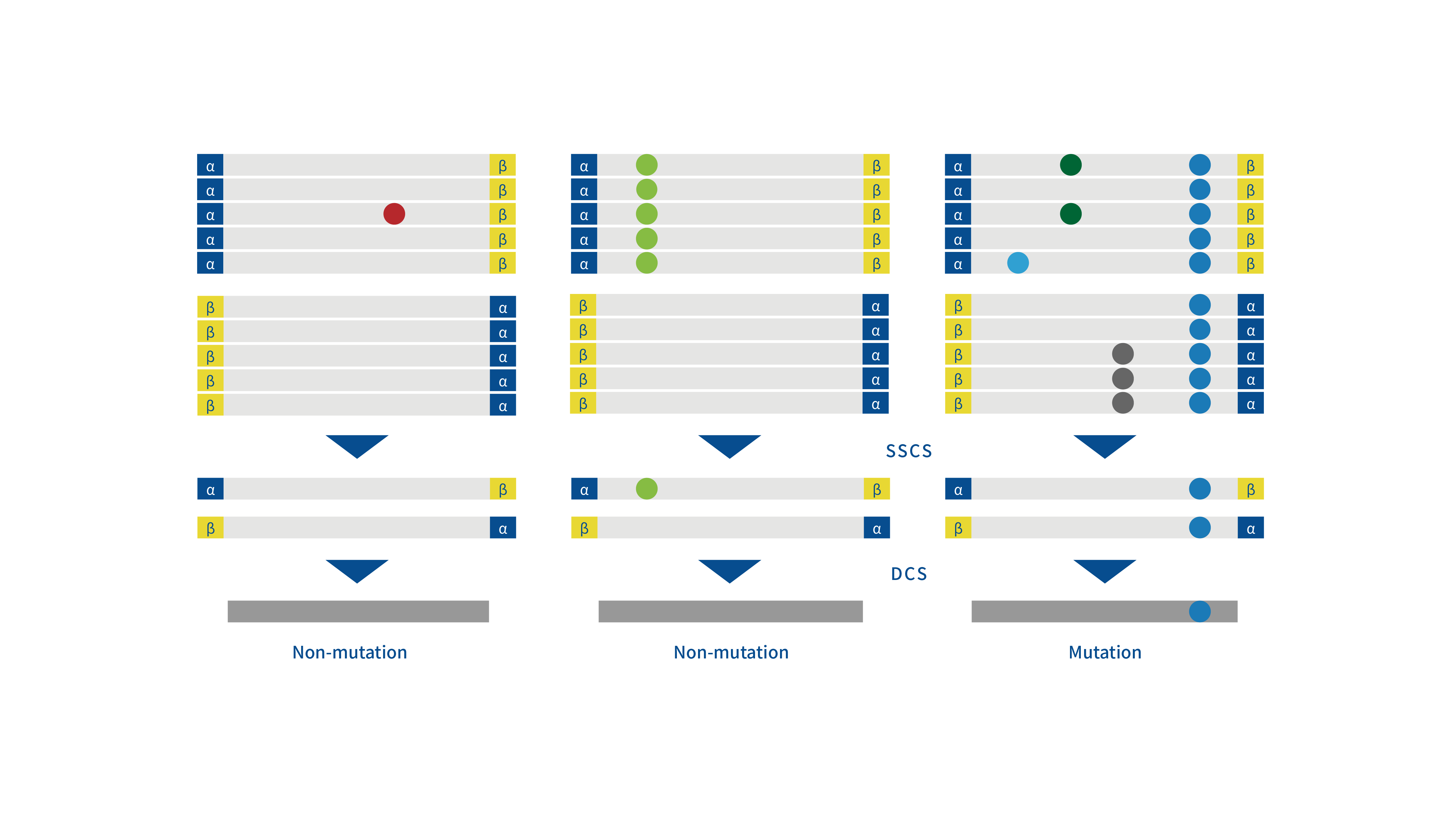 艾吉泰康 | 创新型基因行业引擎